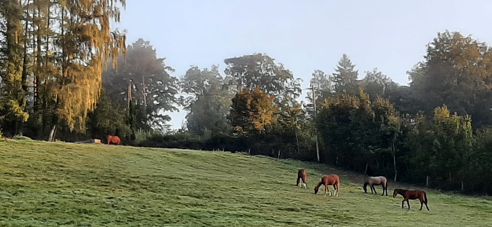 Interligne - Accueil